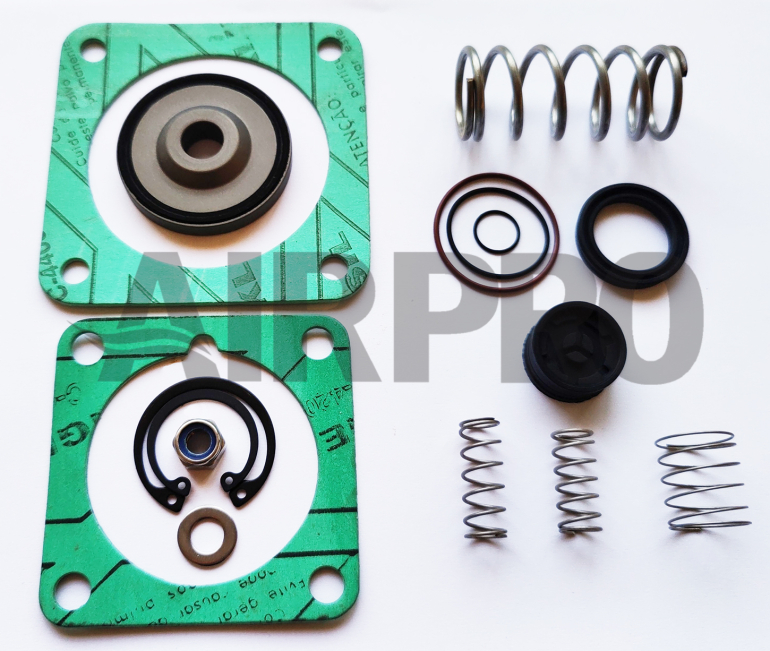 Kit de reparo válvula de admissão similar 2901029850 - Air Pro