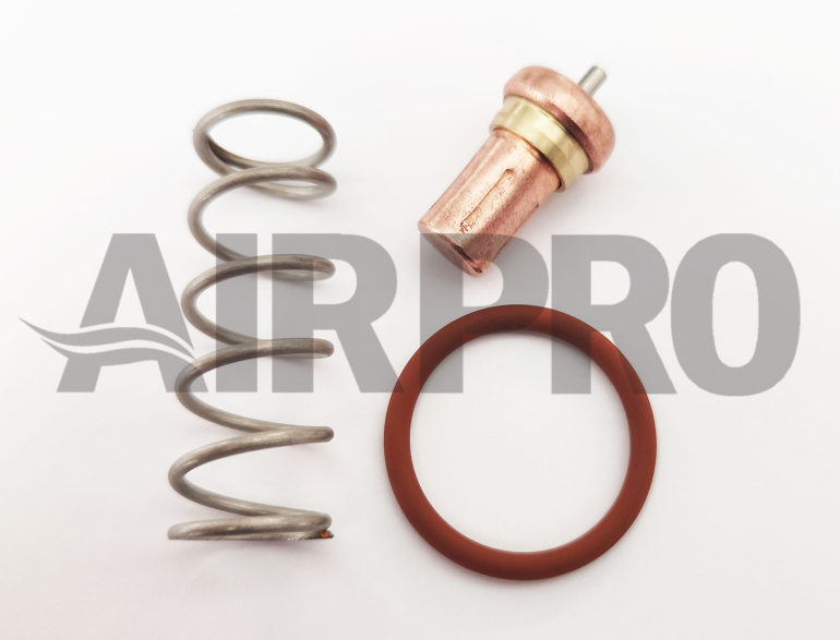 Kit de reparo válvula termostática similar 2200599825 - Air Pro