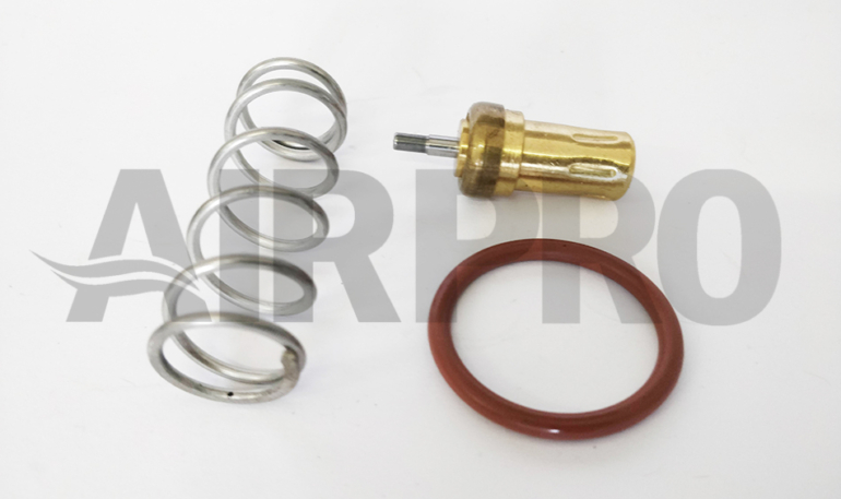 Kit de reparo válvula termostática similar 2200599825 - Air Pro