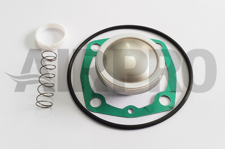 Kit de reparo válvula de admissão similar 2200900953 / 3060112 - Air Pro